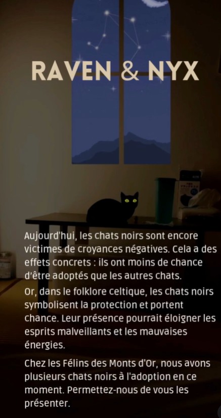 L’actualité des Félins des Monts d’Or – Les félins des monts d'or